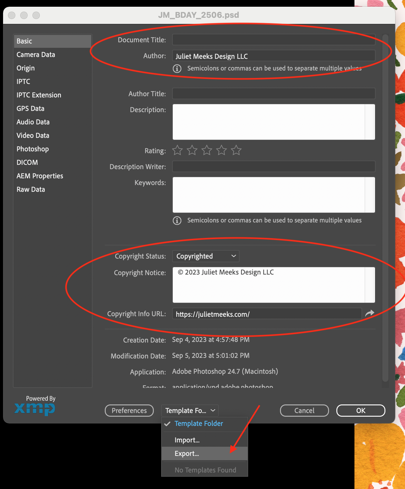 How to Add Copyright Data to Your Photoshop Files | julietmeeks.com